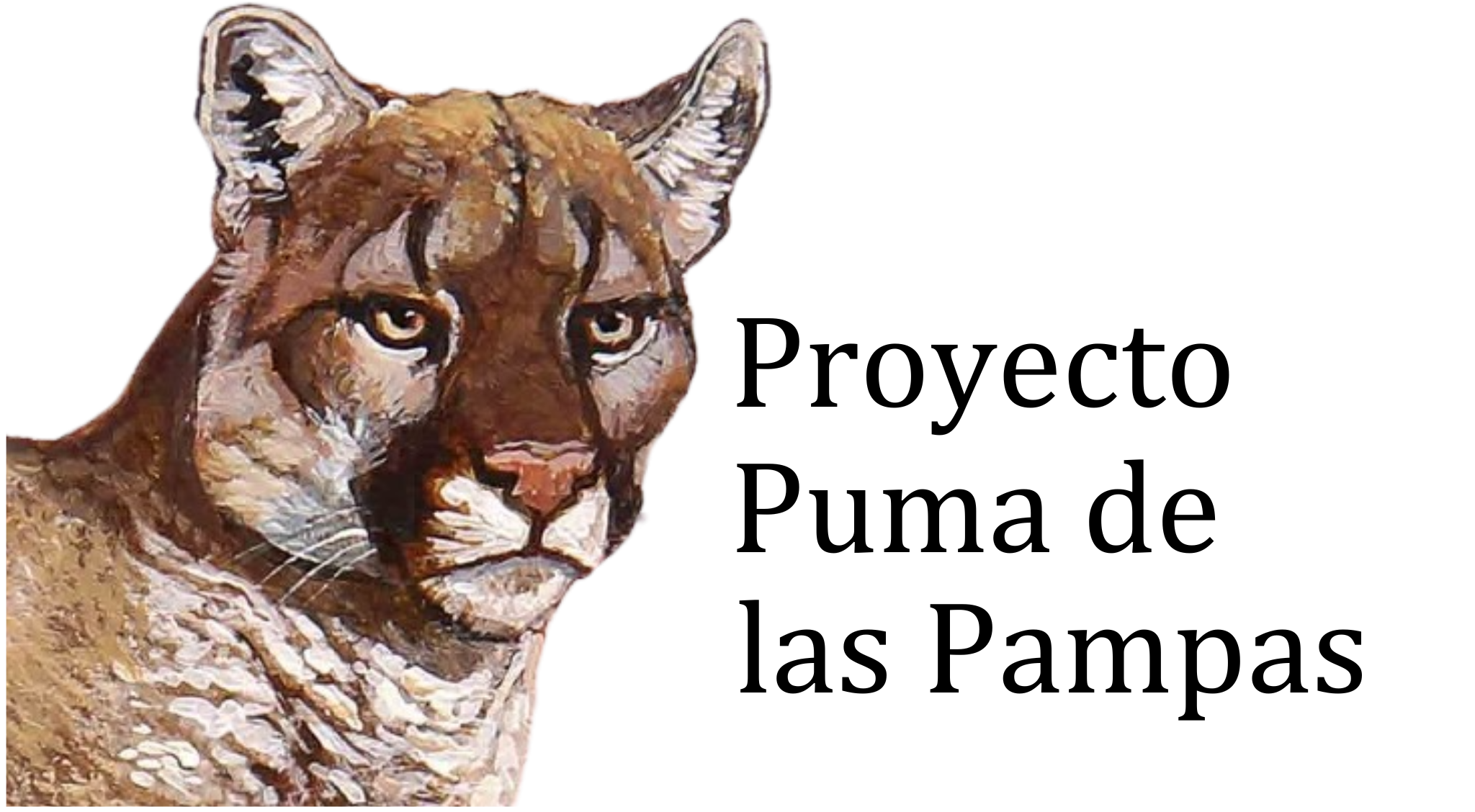 El puma - Puma de las Pampas